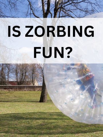 Zorbing Zone – It's a Zorby Time